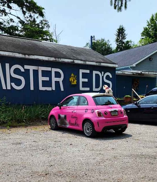 most quirky pennsylvania museum ftr