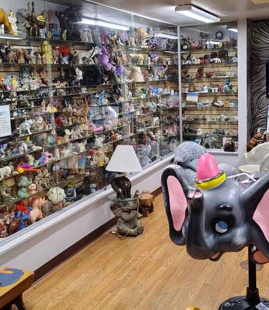 most unusual museum pennsylvania ftr