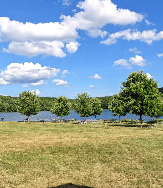 new jersey hidden gem ftr