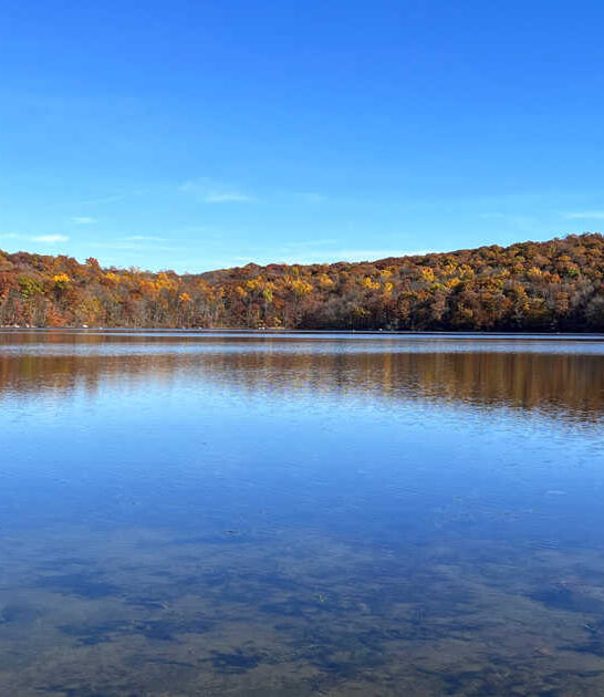 new jersey hidden park ftr