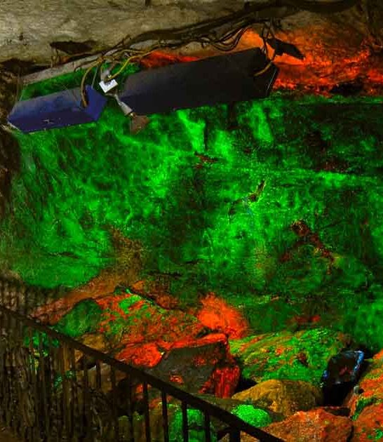 new jersey rock collection ftr