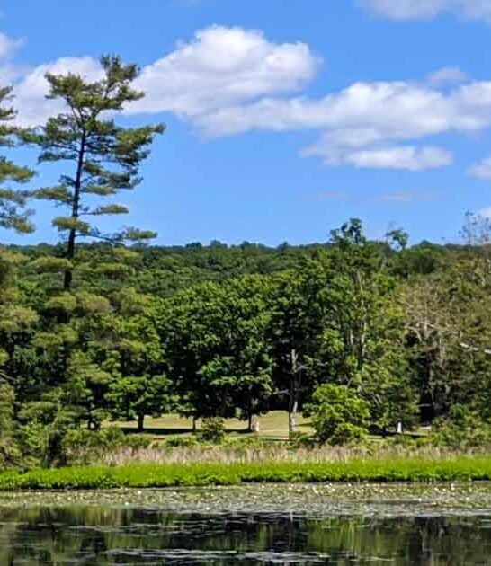 new jersey stunning park ftr