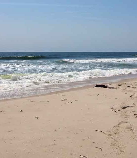 new jersey untouched coastline ftr