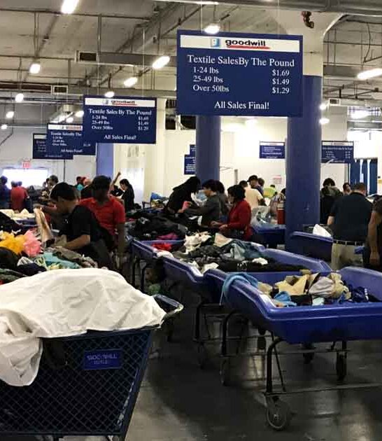 new york bargain obsessed ftr