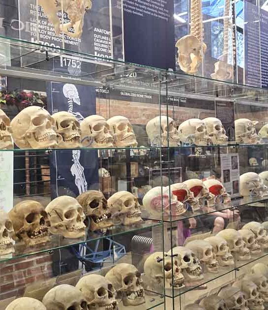 new york creepy museum ftr