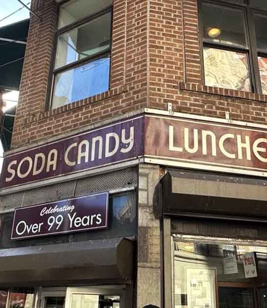 new york milkshakes classic ftr