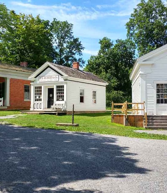 new york museum wonderful ftr