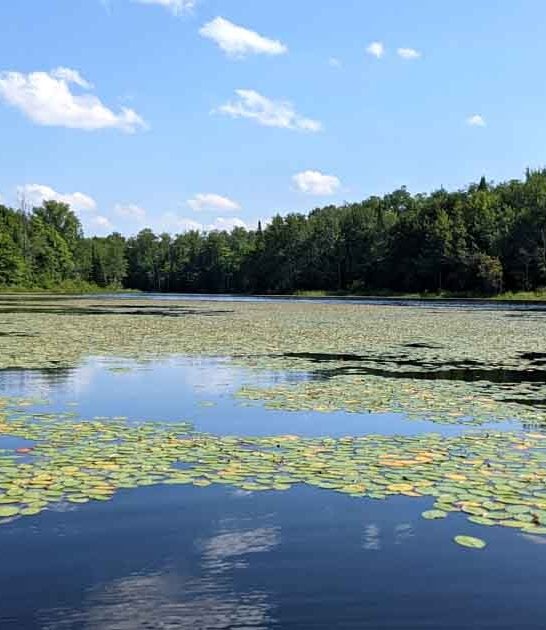 This Gorgeous State Park In New York Is So Little-Known, You’ll Practically Have It All To Yourself