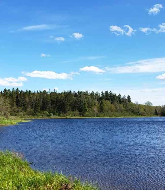 This Picturesque State Park In New York Is Made For Laid-Back Day Trips