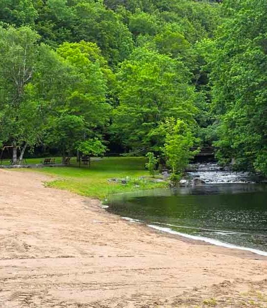 new york unheard park ftr