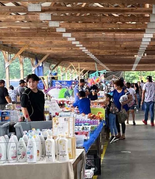 north carolina bargains prices ftr