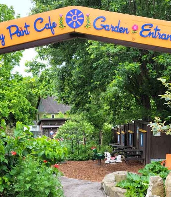 north carolina cafe wonderful ftr