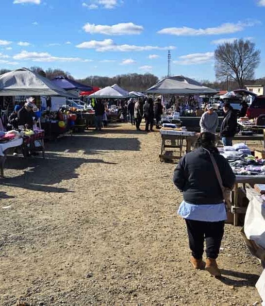 north carolina explore shopping ftr