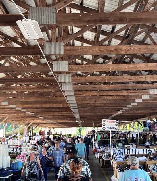 north carolina local flea ftr