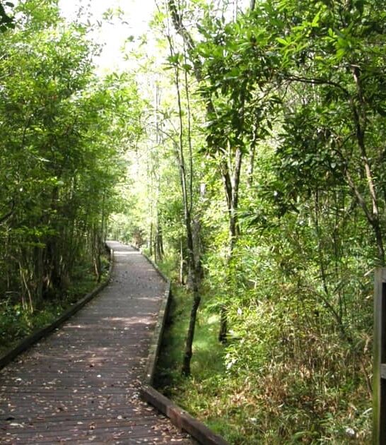 north carolina parks stunning ftr