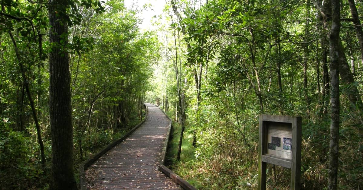 9 North Carolina State Parks So Stunning You'll Swear They're National ...