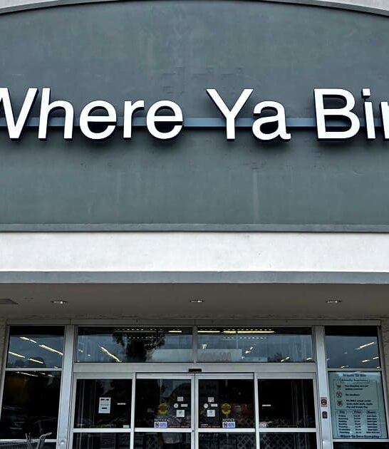 north carolina store unbelievable ftr