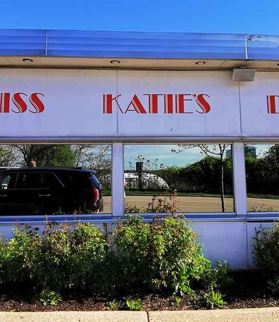 nostalgic wisconsin diner frozen ftr