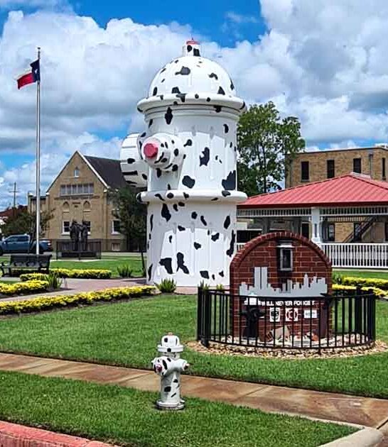 odd texas attractions ftr