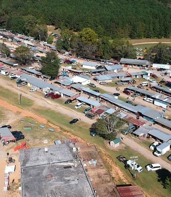 offer bargains alabama markets ftr