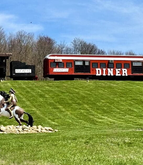 ohio classic diner nostalgia ftr