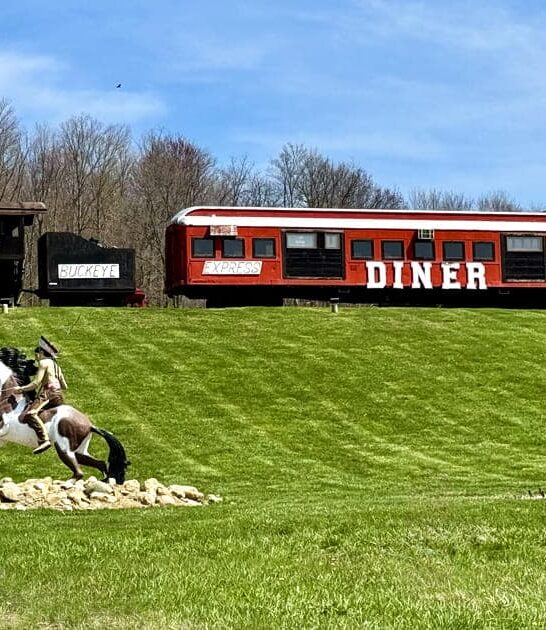 ohio diner nostalgia ftr