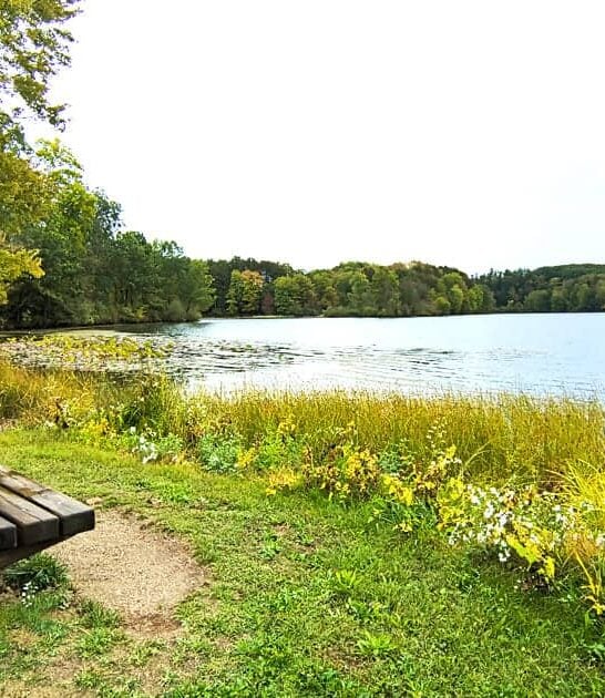 The Gorgeous State Park In Ohio That&rsquo;s Too Beautiful To Keep Secret
