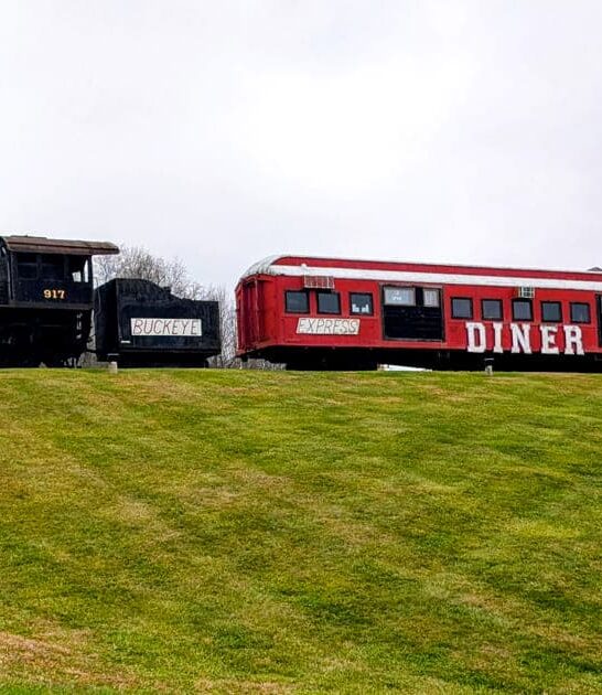 ohio vintage diner experience ftr