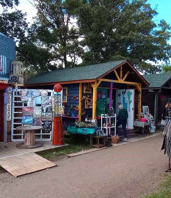 old minnesota flea day ftr