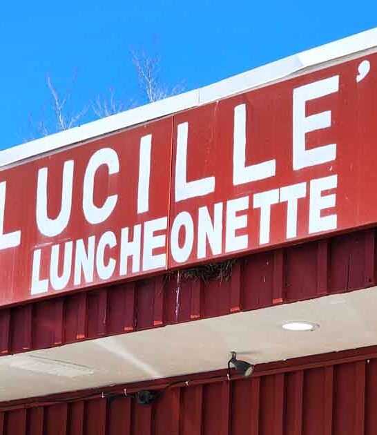 omelettes new jersey trip ftr