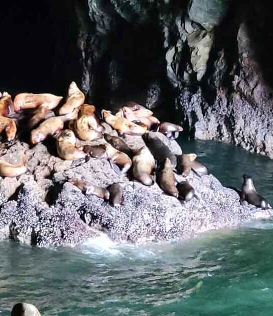 oregon awesome sea cave ftr