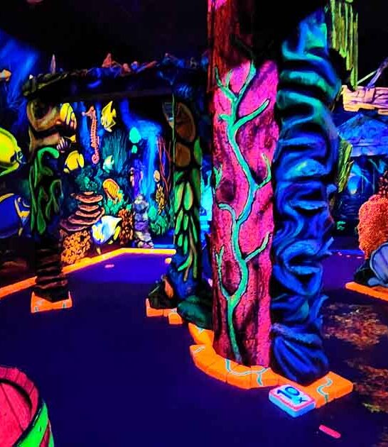 oregon neon mini golf ftr