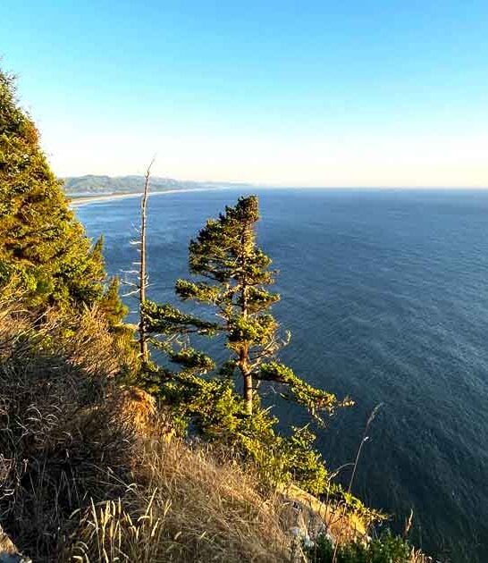 oregon park perfect trips ftr