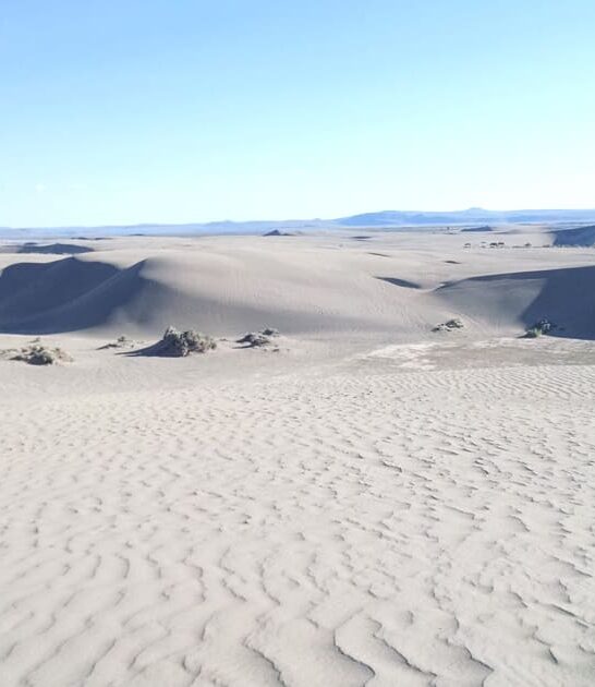 oregon surreal sand dunes ftr