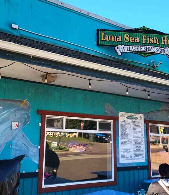 oregon tiny fish house ftr