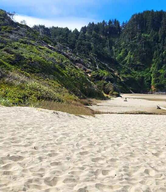 oregon whimsical beach hike ftr