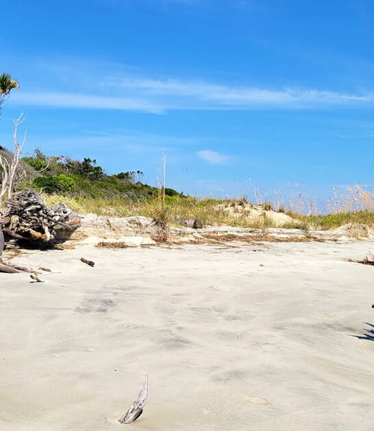 otherworldly beach south carolina ftr
