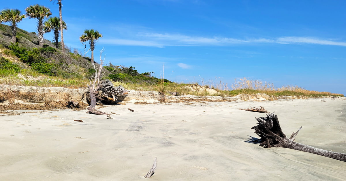 One Of The Most Otherworldly Beaches In America Is Right Here In South ...