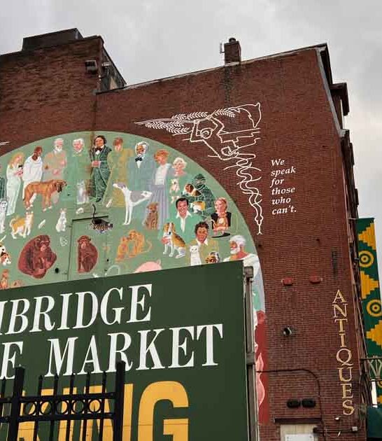 oversized massachusetts thrift store ftr