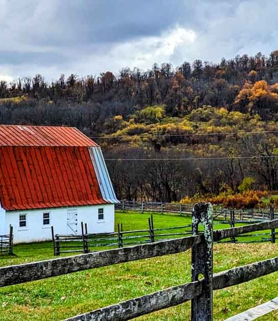 panoramic mountain views virginia ftr