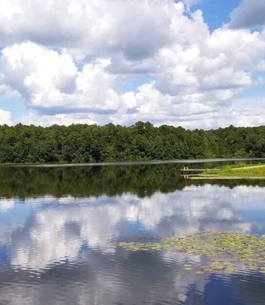 park alabama stunning retreat ftr