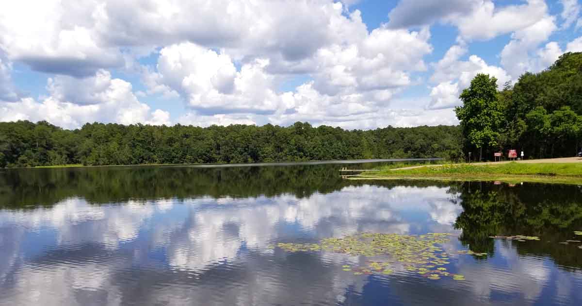 This Stunning State Park In Alabama Will Wash Away All Your Worries