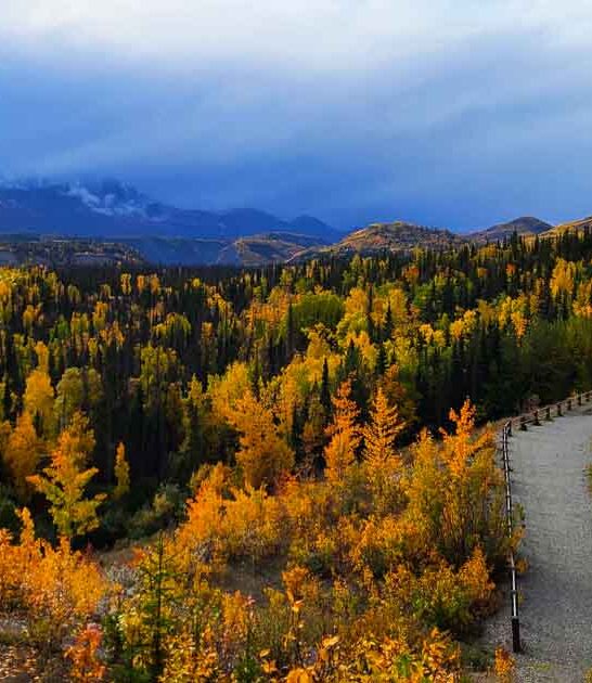 park alaska day trips ftr