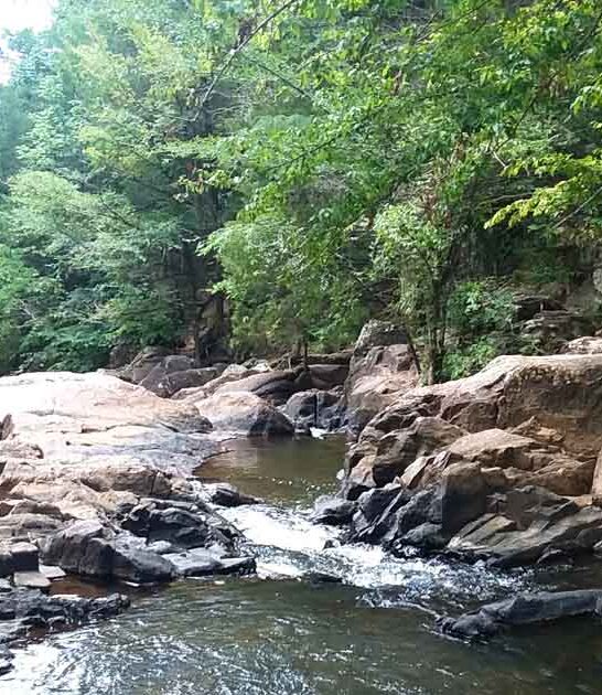 park hidden alabama ftr