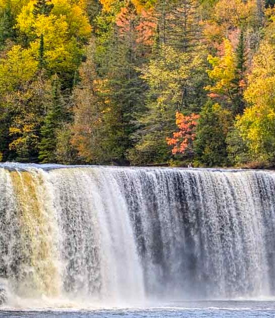 park michigan wondrous enormous ftr