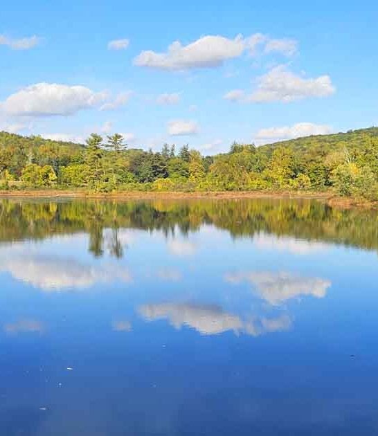 park new jersey gorgeous ftr