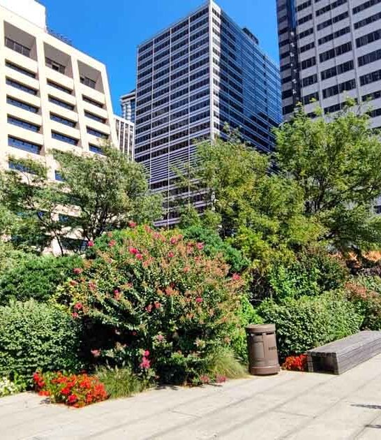 park new york secret ftr