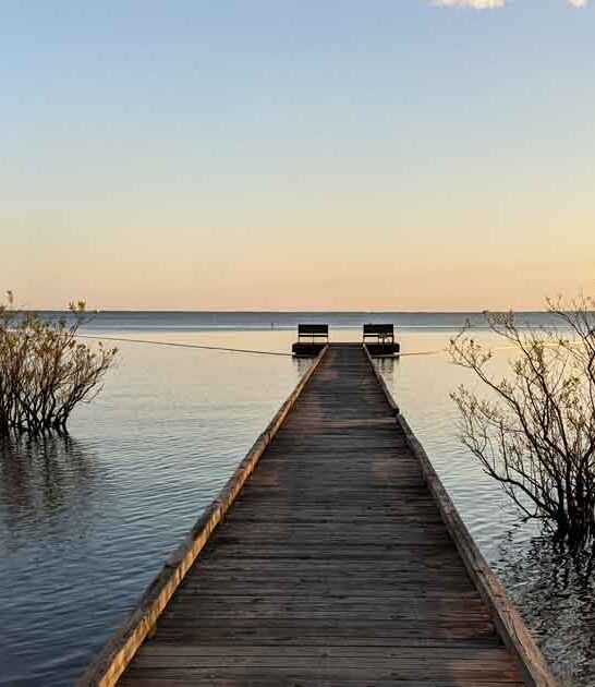 park north carolina forgotten ftr