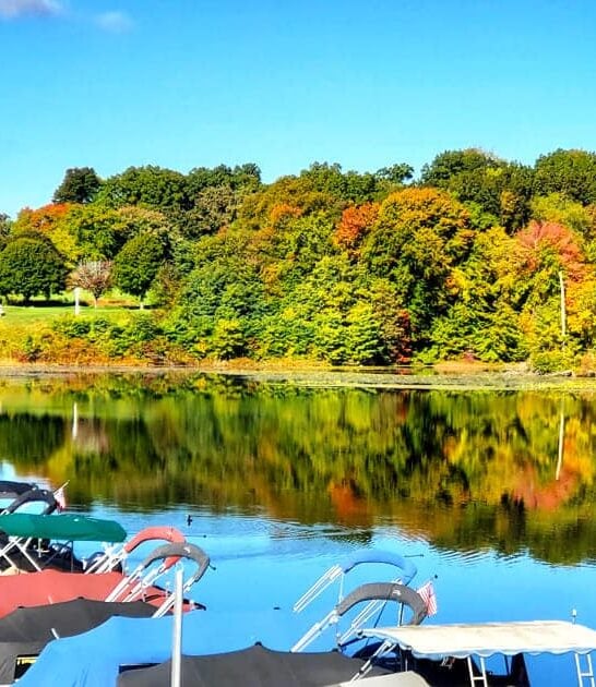 The Picture-Perfect State Park In Ohio That’s Straight Out Of A Postcard