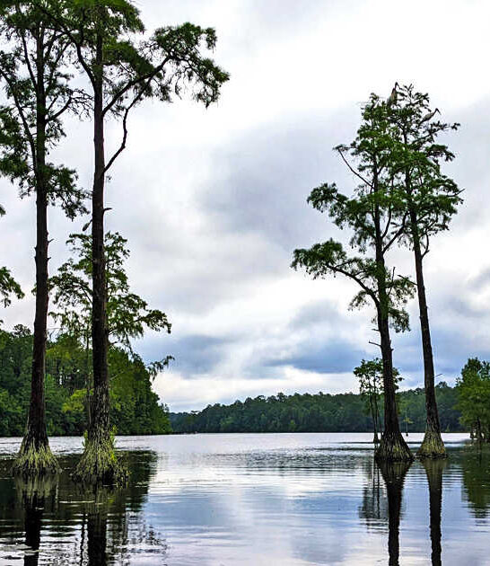 park south carolina overlooked ftr